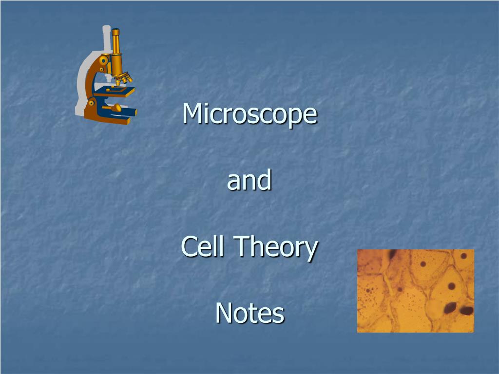 PPT - Microscope and Cell Theory Notes PowerPoint Presentation, free ...