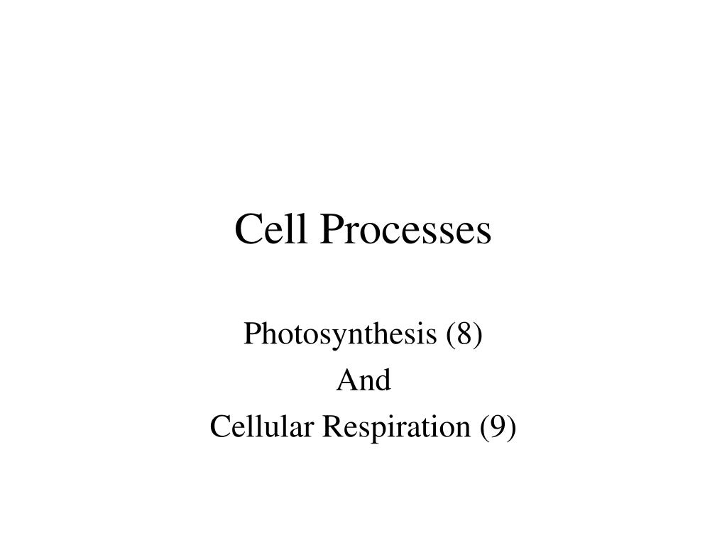 PPT - Plant Processes: Photosynthesis and Cellular Respiration ...