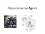 PPT - Reconnaissance PowerPoint Presentation, free download - ID:1281658