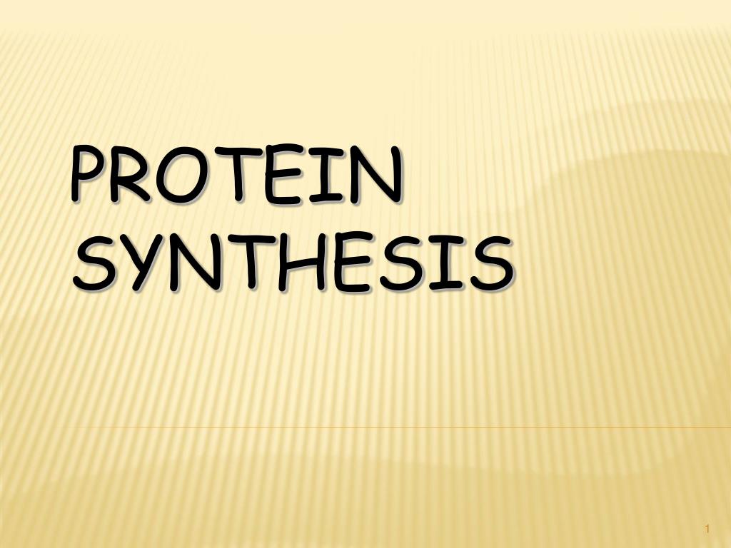 PPT - PROTEIN SYNTHESIS PowerPoint Presentation, free download - ID:6856320