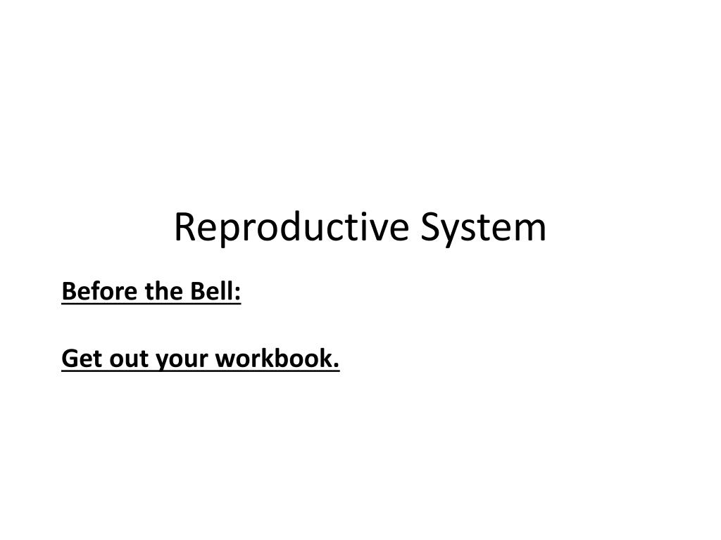 PPT - Reproductive System PowerPoint Presentation, free download - ID ...