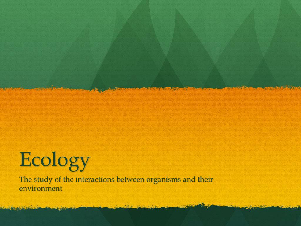 PPT - Understanding Ecology: Interactions, Energy Pathways, and Food ...