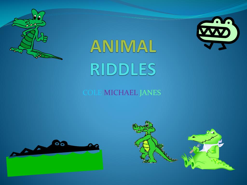PPT - ANIMAL RIDDLES PowerPoint Presentation, free download - ID:6858396