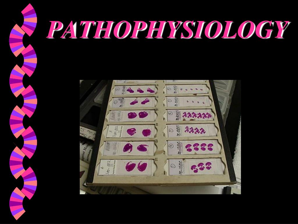 PPT - PATHOPHYSIOLOGY PowerPoint Presentation, free download - ID:6859012