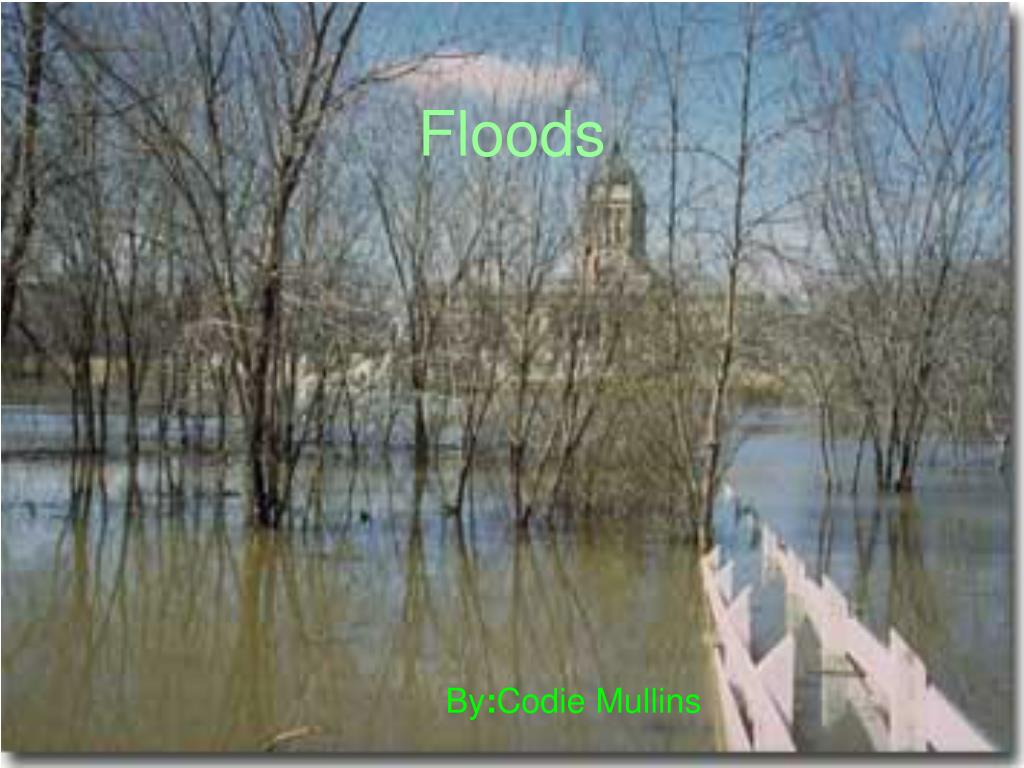 PPT - Floods PowerPoint Presentation, free download - ID:6859400