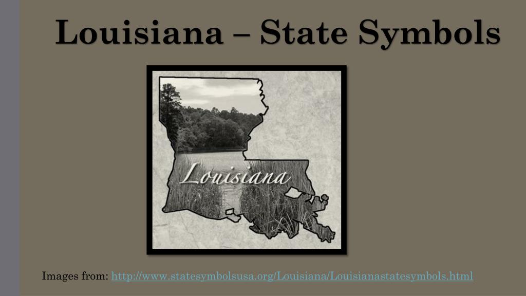 PPT - Louisiana – State Symbols PowerPoint Presentation, free download ...