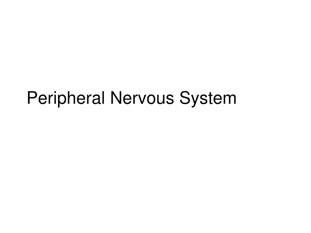 PPT - Peripheral Nervous System PowerPoint Presentation, free download ...