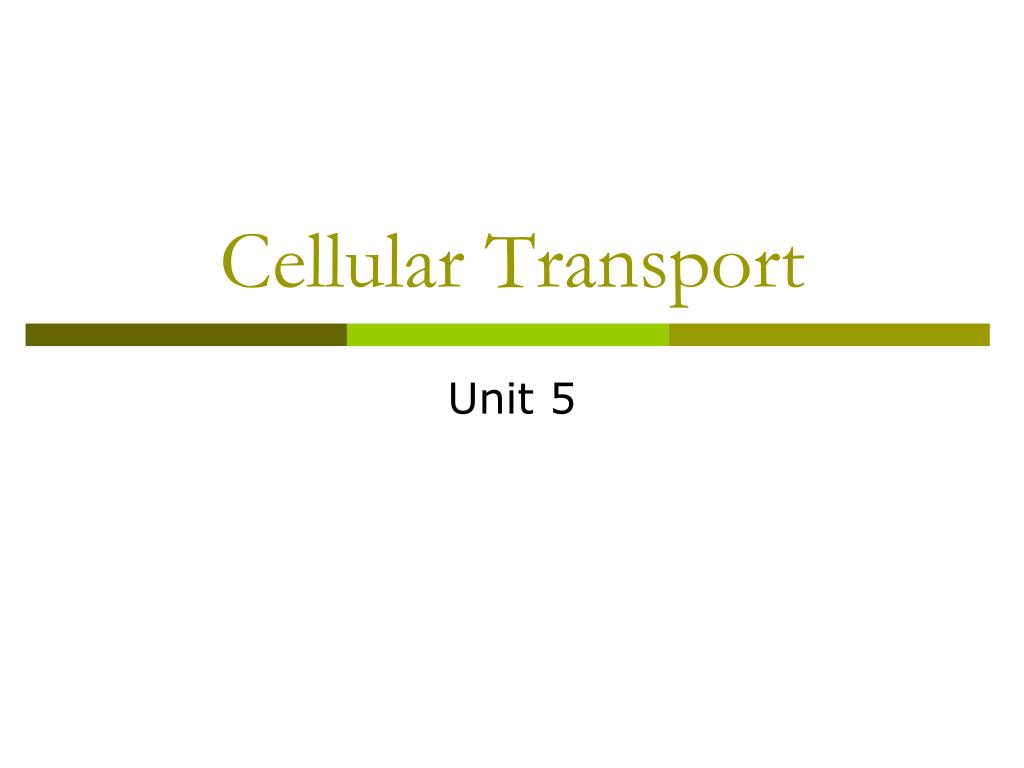 PPT - Cellular Transport PowerPoint Presentation, free download - ID ...