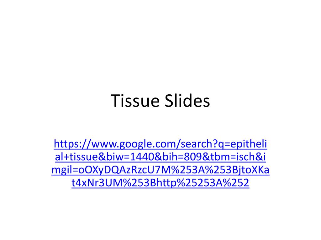 PPT - Tissue Slides PowerPoint Presentation, free download - ID:6861198