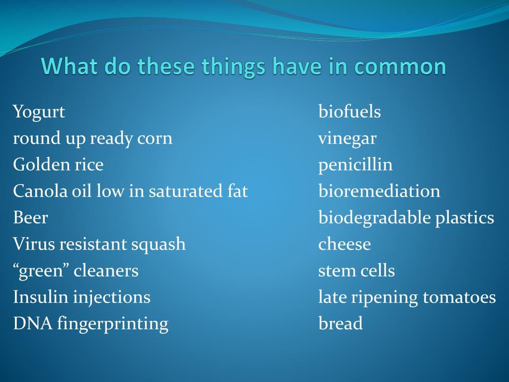 PPT - What do these things have in common PowerPoint Presentation, free ...