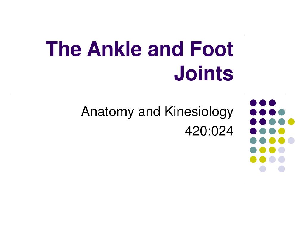 PPT - The Ankle and Foot Joints PowerPoint Presentation, free download ...