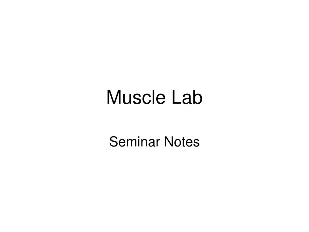 PPT - Muscle Lab PowerPoint Presentation, free download - ID:6863904