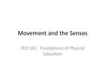 PPT - Neural Control and the Senses PowerPoint Presentation, free ...