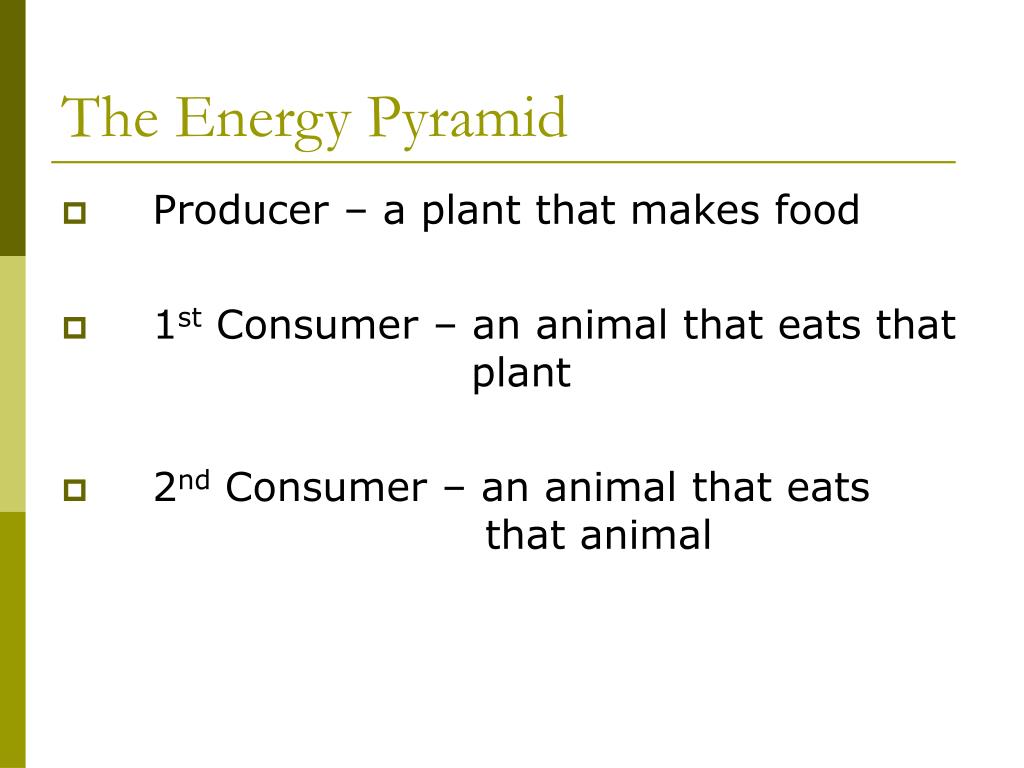 PPT - The Energy Pyramid PowerPoint Presentation, free download - ID ...
