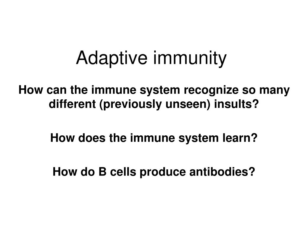 PPT - Adaptive immunity PowerPoint Presentation, free download - ID:6865054