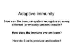 PPT - Adaptive Immunity PowerPoint Presentation, free download - ID:9435343