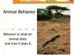PPT - Animal Behavior and Restraint PowerPoint Presentation, free ...