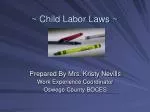 PPT - Florida Child Labor Laws PowerPoint Presentation, free download ...