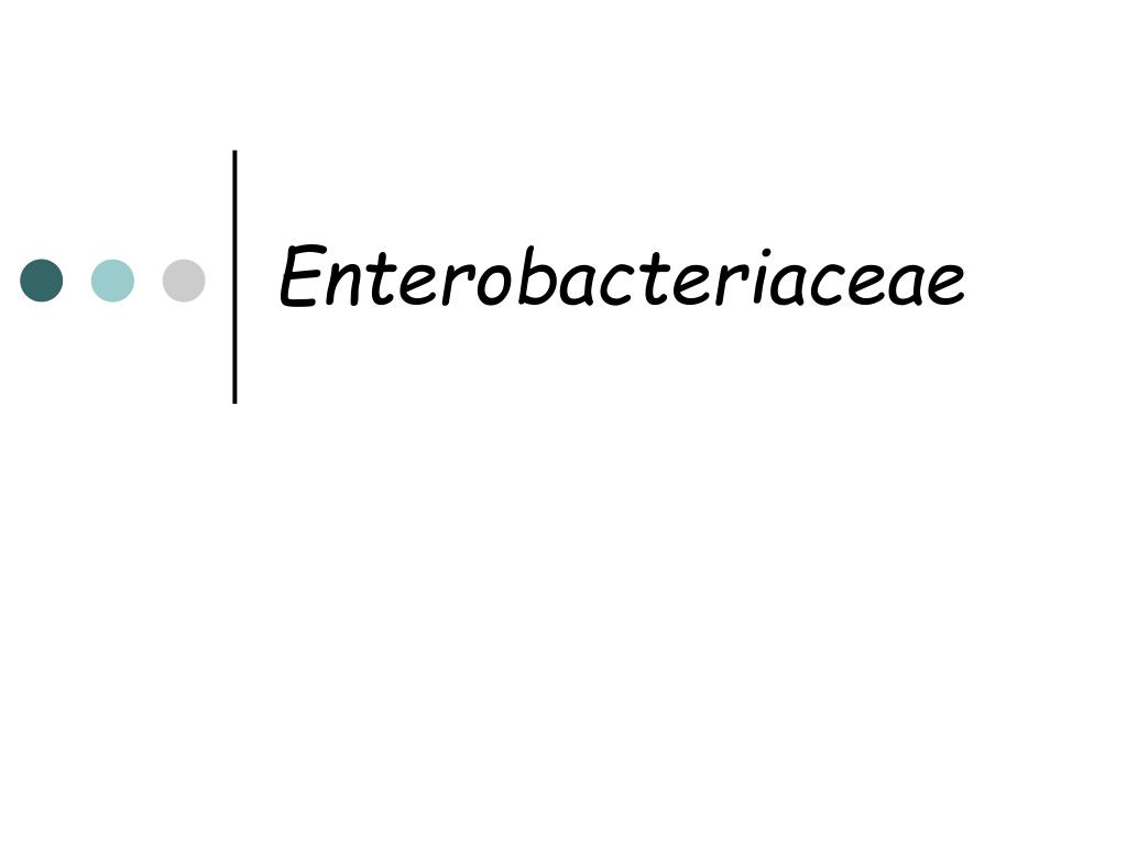 PPT - Enterobacteriaceae PowerPoint Presentation, free download - ID ...