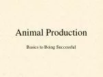 PPT - ANIMAL PRODUCTION PowerPoint Presentation, free download - ID:5703695