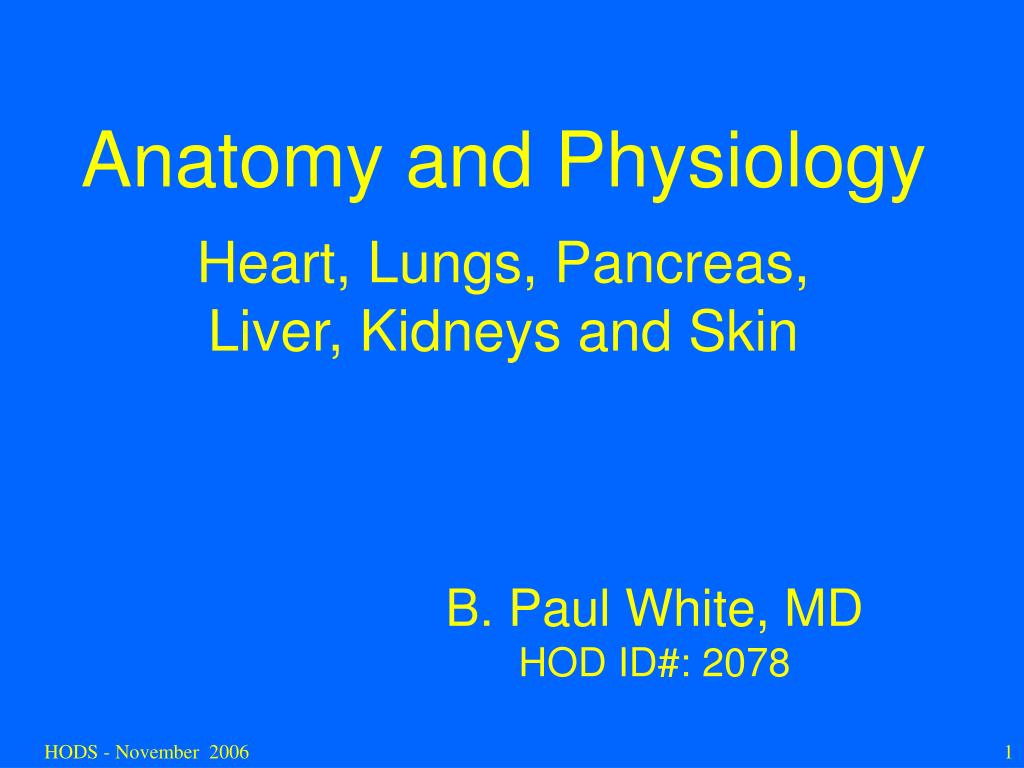 PPT - Anatomy and Physiology PowerPoint Presentation, free download ...