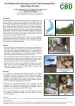 PPT - Definition for Non-Timber Forest Products PowerPoint Presentation ...