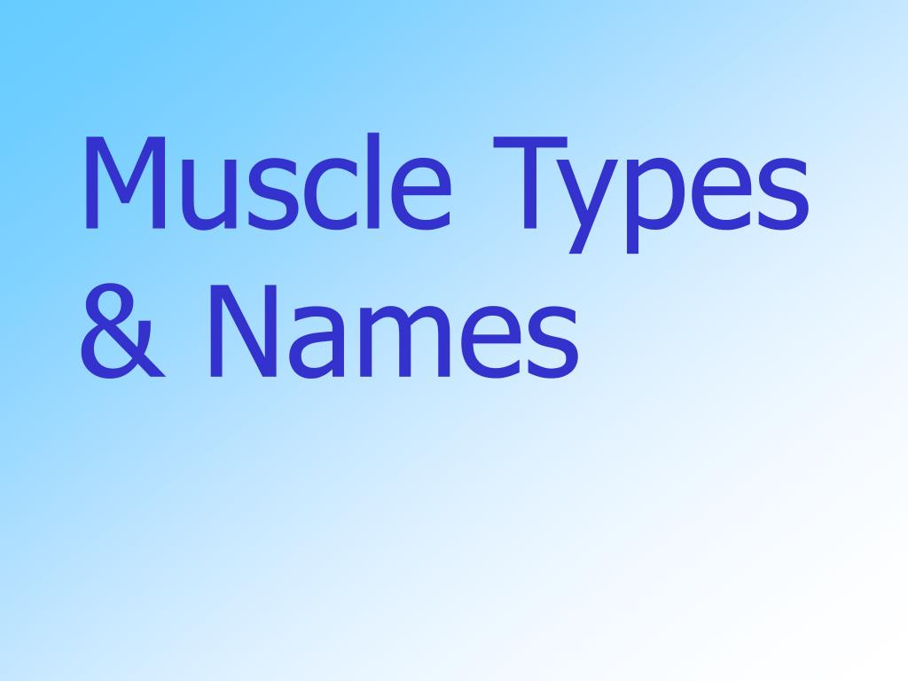 PPT - Muscle Types & Names PowerPoint Presentation, free download - ID ...
