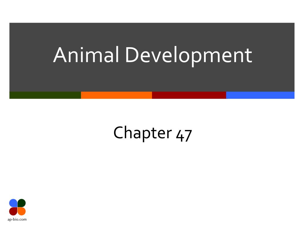 PPT - Animal Development PowerPoint Presentation, free download - ID ...