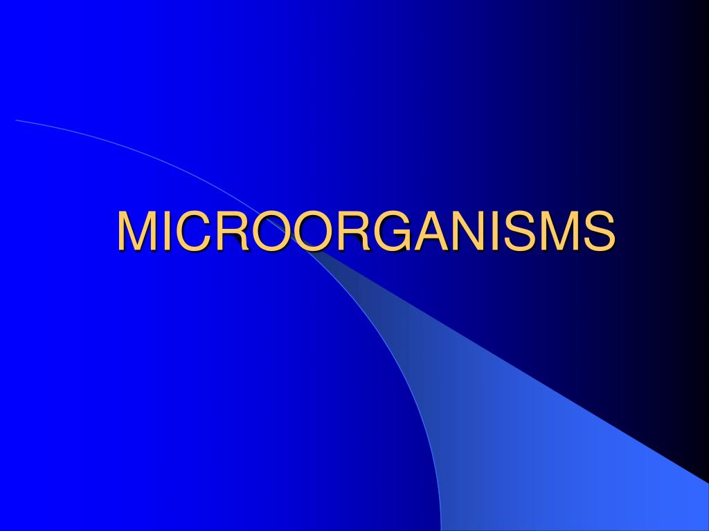 PPT - MICROORGANISMS PowerPoint Presentation, free download - ID:6875660