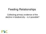 PPT - Feeding relationships PowerPoint Presentation, free download - ID ...