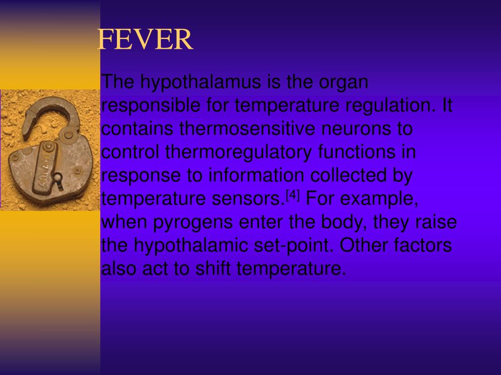 PPT - FEVER PowerPoint Presentation, free download - ID:6877142