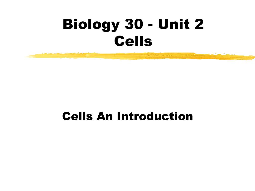PPT - Biology 30 - Unit 2 Cells PowerPoint Presentation, free download ...