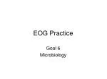 PPT - The Electrooculogram EOG PowerPoint Presentation, free download ...