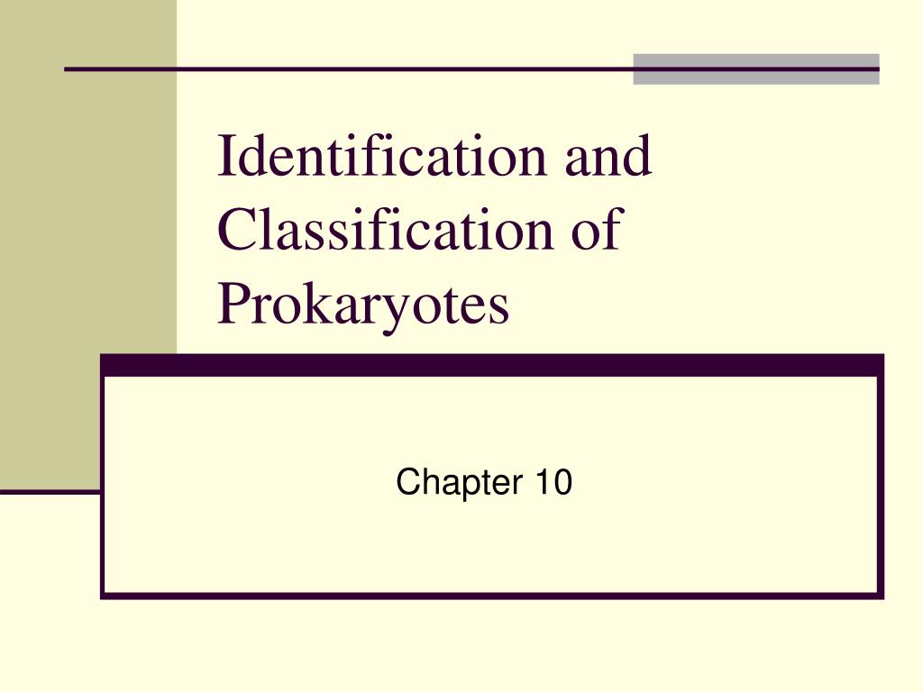 PPT - Identification and Classification of Prokaryotes PowerPoint ...