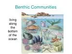 PPT - Diversity of Benthic Animals PowerPoint Presentation, free ...