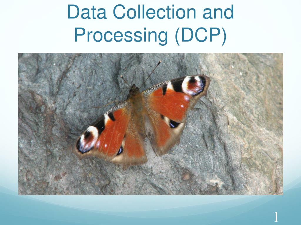 PPT - Data Collection and Processing (DCP) PowerPoint Presentation ...