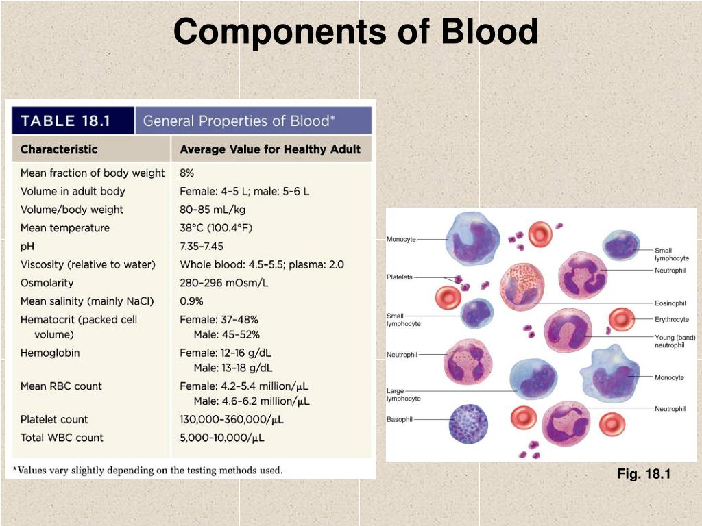 PPT - Components of Blood PowerPoint Presentation, free download - ID ...