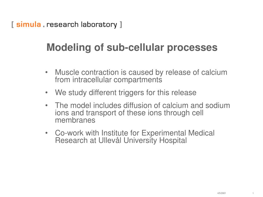 PPT - Modeling of sub-cellular processes PowerPoint Presentation, free ...