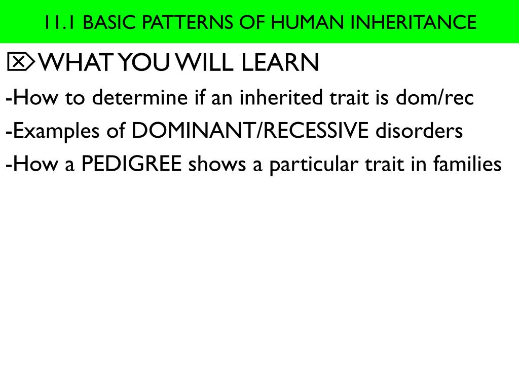 PPT - 11.1 BASIC PATTERNS OF HUMAN INHERITANCE PowerPoint Presentation ...