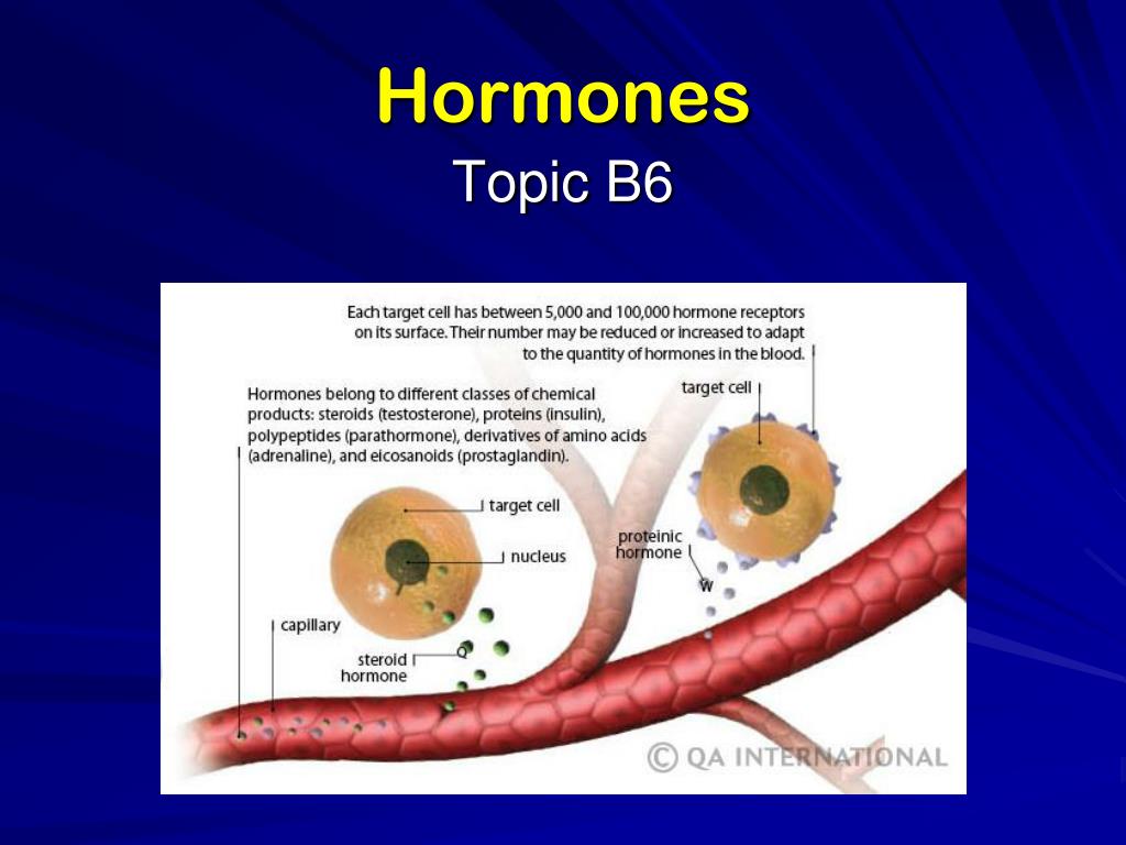 Ppt Hormones Powerpoint Presentation Free Download Id 6887228