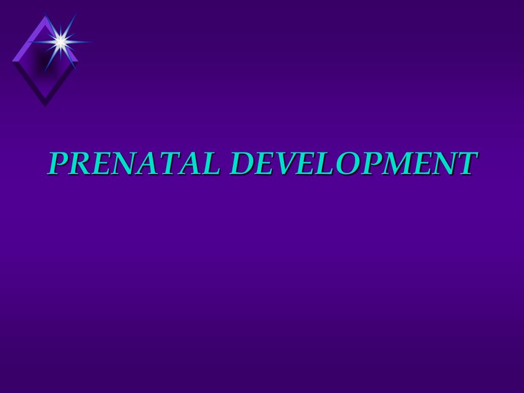 PPT - PRENATAL DEVELOPMENT PowerPoint Presentation, free download - ID ...