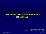 PPT - Magnetic Resonance Imaging: Physical Principles PowerPoint ...