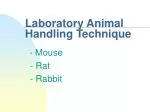 PPT - Laboratory Animal Handling Technique PowerPoint Presentation ...