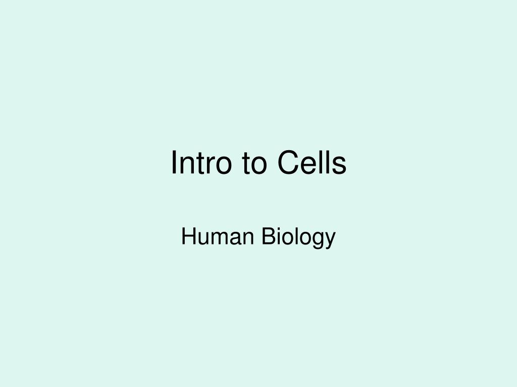 PPT - Intro to Cells PowerPoint Presentation, free download - ID:6892995
