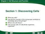 PPT - Discovering Cells 1-1 PowerPoint Presentation, free download - ID ...
