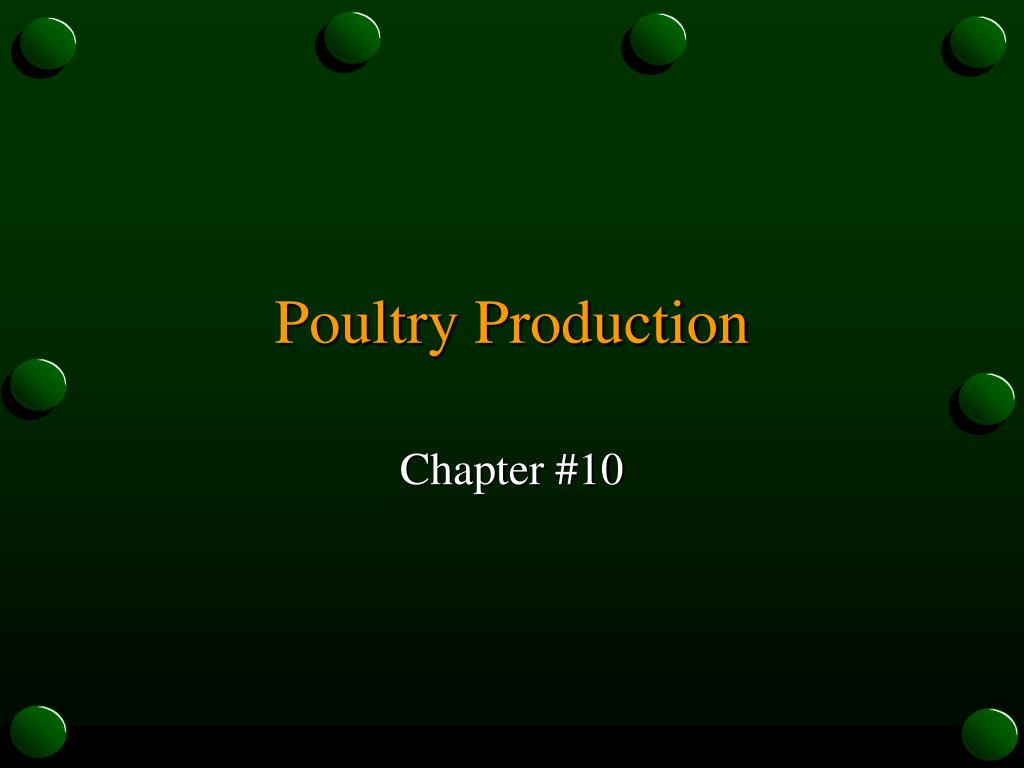 PPT - Poultry Production PowerPoint Presentation, free download - ID ...