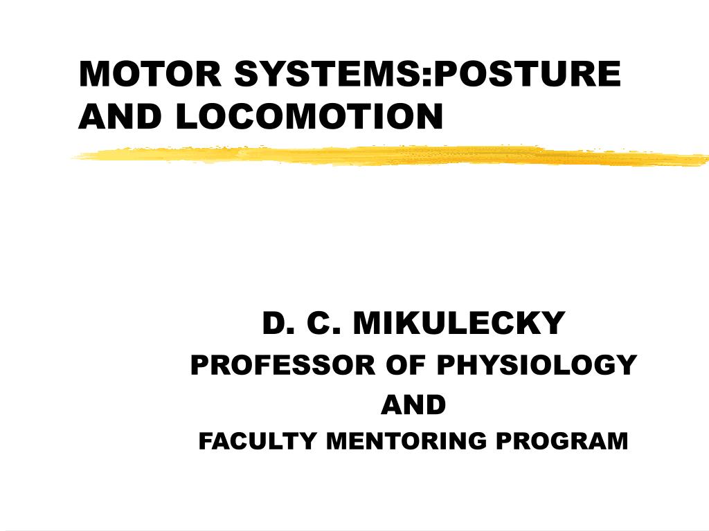 PPT - MOTOR SYSTEMS:POSTURE AND LOCOMOTION PowerPoint Presentation ...
