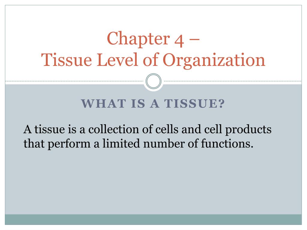 PPT - Chapter 4 – Tissue Level of Organization PowerPoint Presentation ...