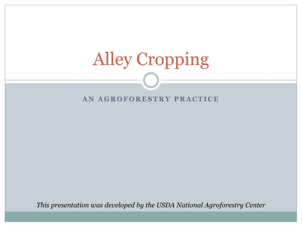 PPT - Alley Cropping PowerPoint Presentation, free download - ID:6898684