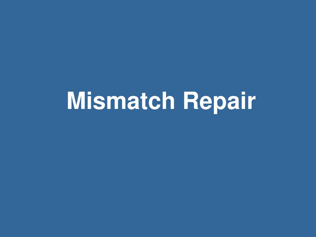 PPT - Mismatch Repair PowerPoint Presentation, free download - ID:6899583